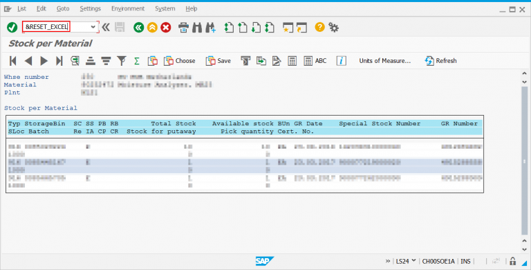 SAP checkbox "Always Use Selected Format"